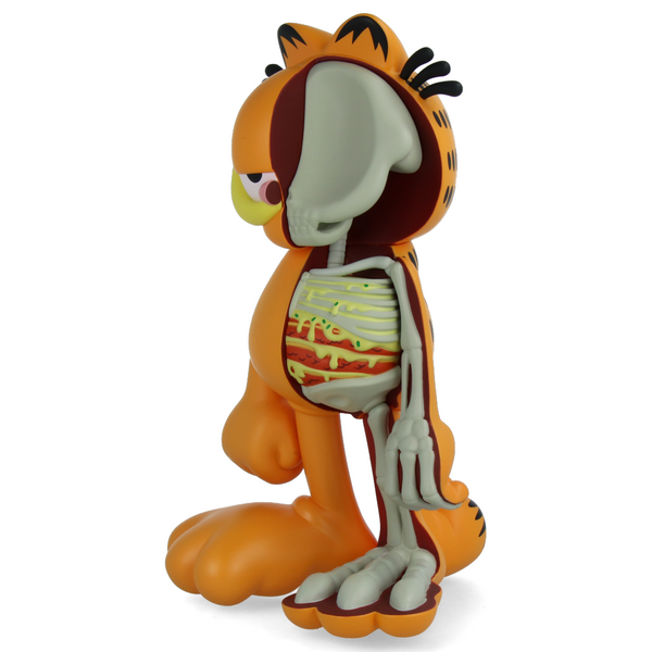 XXRAY Plus Garfield - Jason Freeny - Figurine Mighty Jaxx