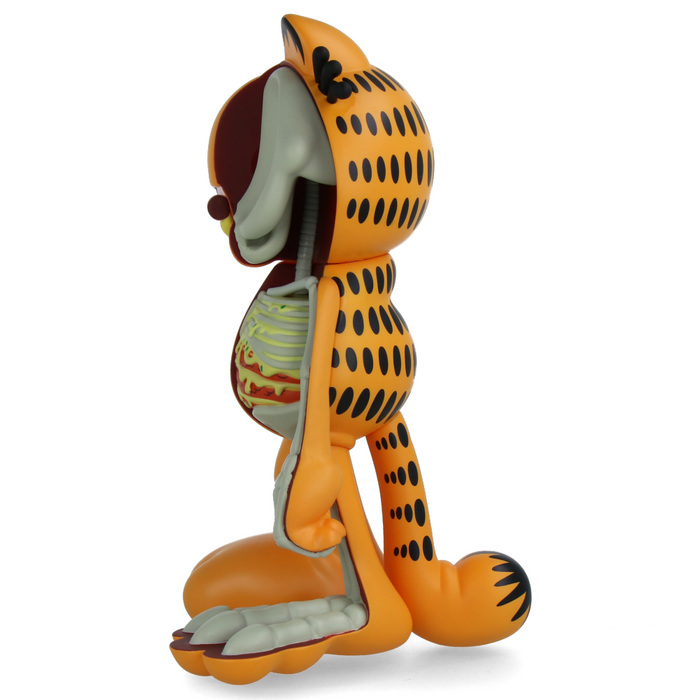 XXRAY PLUS GARFIELD - Jason Freeny - Mighty Jaxx figurine