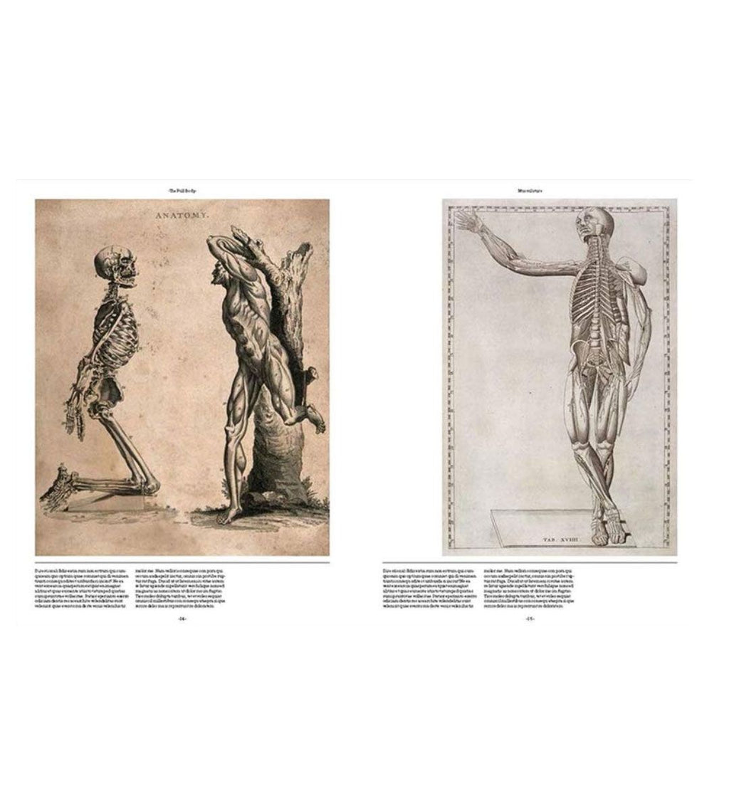 Anatomica, The Exquisite and Unsettling Art of Human Anatomy – Artoyz