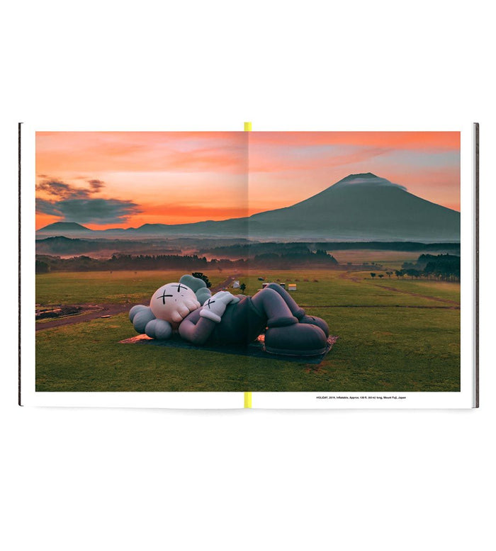 Kaws What Party (rose)