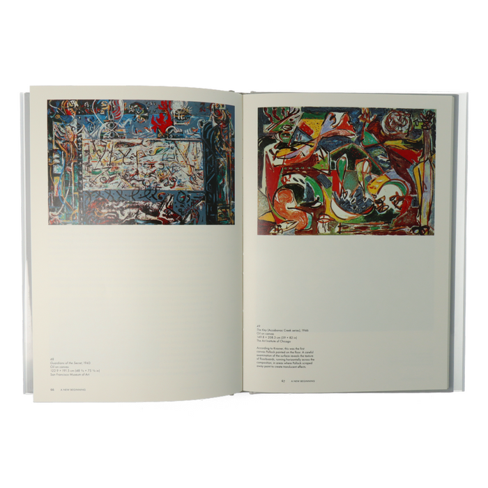 Jackson Pollock : Phaidon Focus