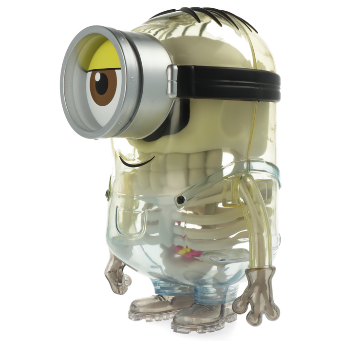 Minions Anatomy 8” Art Figure by Kidrobot