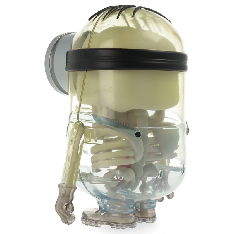 Minions Anatomy 8” Art Figure by Kidrobot
