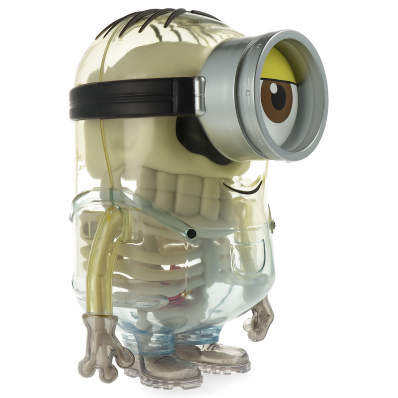 Minions Anatomy 8” Art Figure by Kidrobot – Artoyz